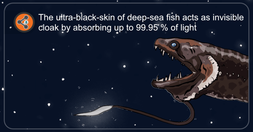 The ultra-black-skin of deep-sea fish acts as an invisible cloak by ...